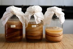 Beverage - How to make your own kombucha scoby recipes
